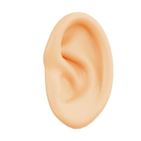 Human Ear Pngs For Free Download