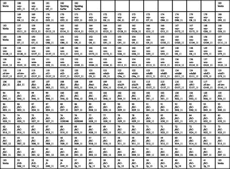 Fast Dna Serotyping Of Escherichia Coli By Use Of An Oligonucleotide Microarray Journal Of