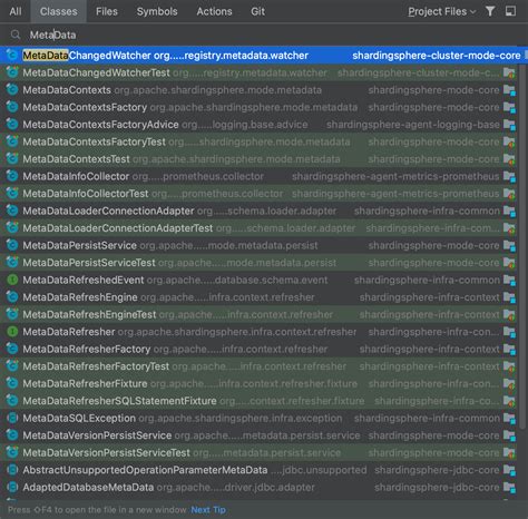 Unify Metadata Naming · Issue 21485 · Apacheshardingsphere · Github