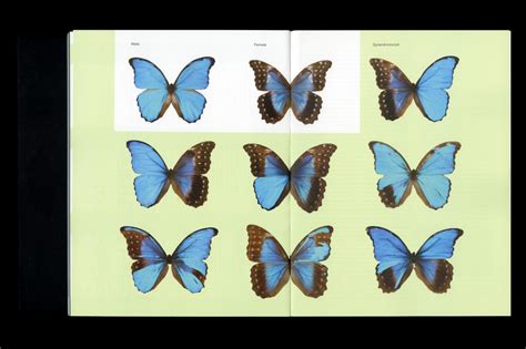 Non Binary Nature Booooooom Create Inspire Community Art Design Music Film