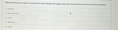 Solved What Leaf Structure Enables Movement Of Carbon Chegg