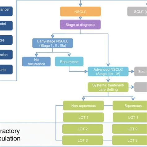 Refractory Nsclc Patient Count Model Structure Key Apc Annual Download Scientific Diagram