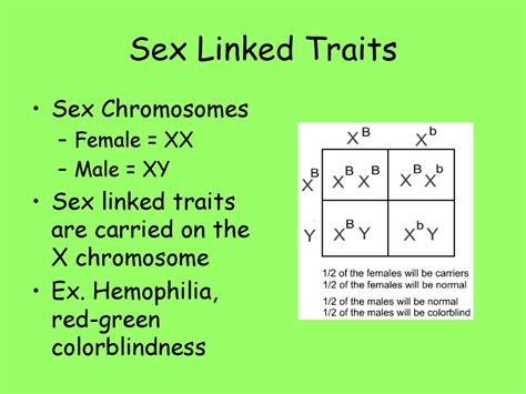 Biology Eoc Highlight Review Ppt Download