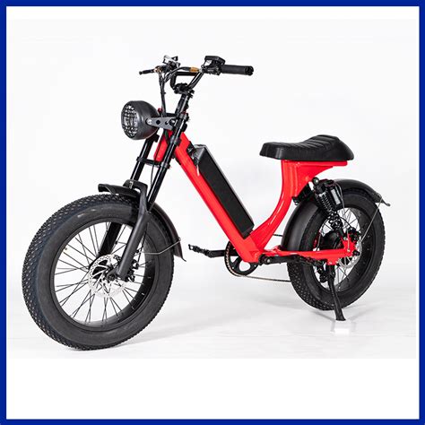 26 Inch Electric Bike Snow Beach Fat Tire Folding Electric Bike With