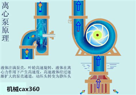离心泵工作原理图动画 离心泵的工作动图 螺杆泵工作图动画 大山谷图库