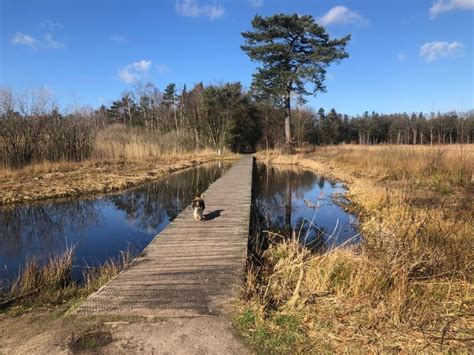 Wandelen In Regio Eindhoven RegioRadar Eindhoven
