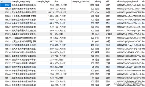 男装电商销售数据集可视化大屏全屏系统毕业设计应用黄菊华老师 魔乐社区
