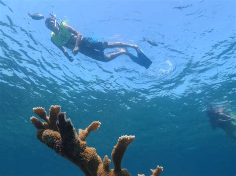 Snorkeling Coral Beach Scuba Diving Varadero