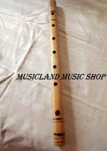 Musicland Music Shop Chivoti