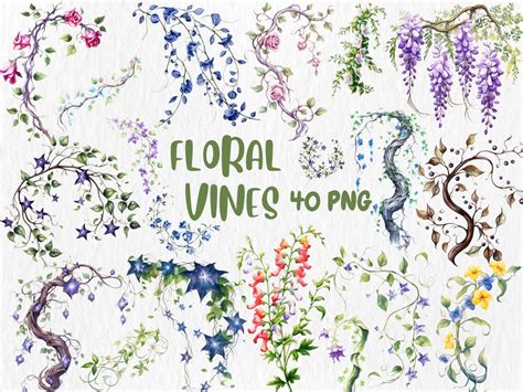 Watercolor Floral Vines Clipart Flower Design Elements Instant