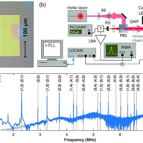 A Optical Micrograph Of The Membrane B Schematic Overview Of The