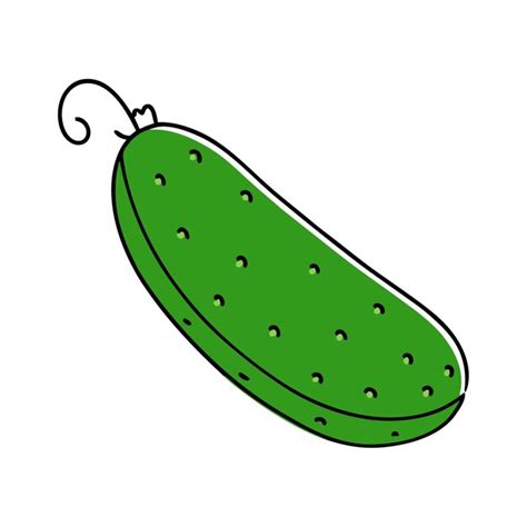 Premium Vector Green Cucumber Organic Vegetarian Product Grown By