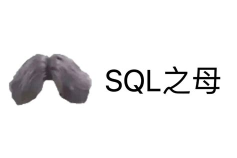 Sql 之母 免费的闯关式 Sql 自学教程网站 A姐分享
