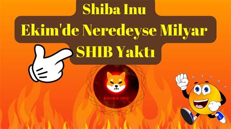 Kripto Sesli Haber Shiba Inu Ekim de Neredeyse Milyar SHIB Yaktı