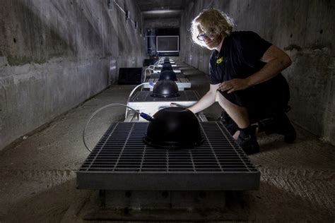 Concrete Voids Turns The Southbank Centres Queen Elizabeth Hall Into An Instrument The Spaces