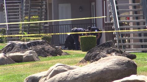 Woman Shot In The Head At A Fresno Apartment Complex Suspect Detained