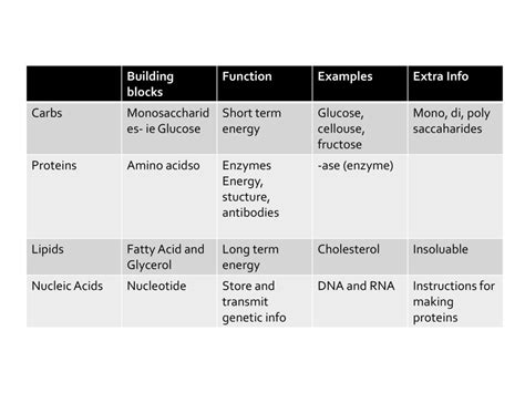 Chapter 2 Chemical Basis Of Life Ppt Download