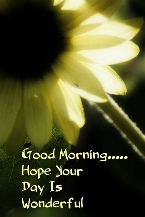 Good Morninghope Your Day Is Wonderful Pictures Photos And Images
