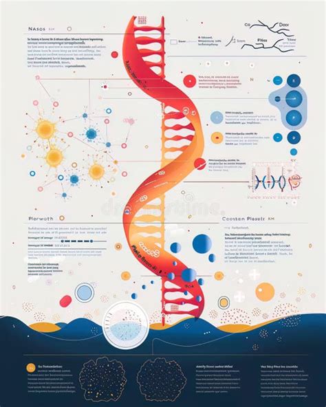 An Infographic Showing The Flow Of Genetic Information From Dna To Rna To Protein Synthesis