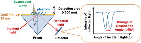 Surface Plasmon Resonance For Cell Based Clinical Diagnosis