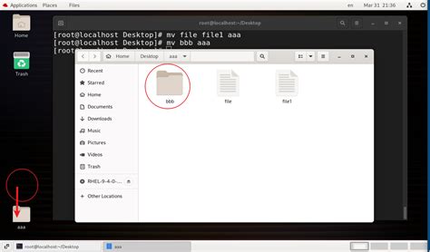 Linux中常用的文件管理命令linux文件管理命令 Csdn博客