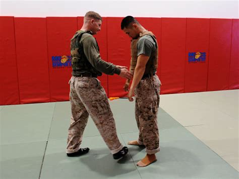 I Have Taken A Close Look At The American Marine Corps Fighting Technique MCMAP To Control