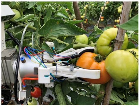 Actuators And Sensors For Application In Agricultural Robots A Review