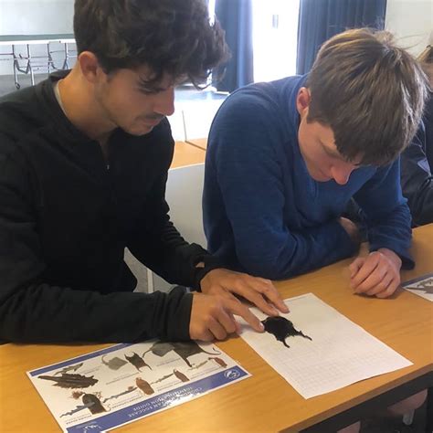 Discover Eden Youth Conservation Program Discover Eden