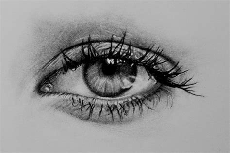 A Realistic Eye Speed Drawing Human Eye Drawing Realistic Eye