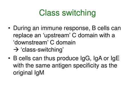 Ppt Immunoglobulins Powerpoint Presentation Free Download Id1366359