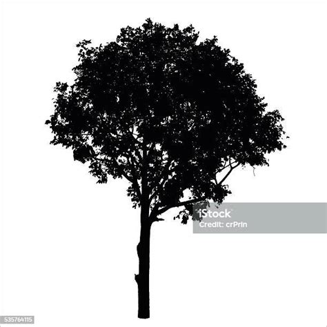 Silhouette Darbre Isolé Sur Fond Blanc Illustration Vectorielle