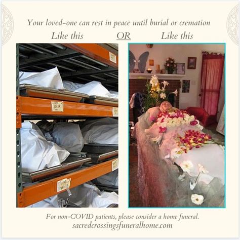 Olivia Bareham Posted On Linkedin