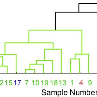 Example Dendrogram Clustering Samples According To Their Color