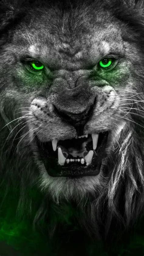 Green Lion Wallpaper