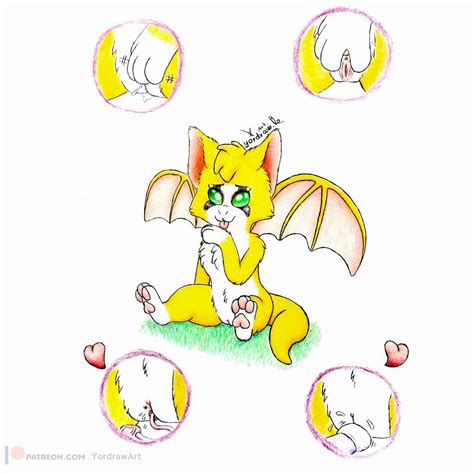 Rule 34 Anthro Bat Cute Expression Cute Eyes Dust An Elysian Tail Felid Feline Female Fidget
