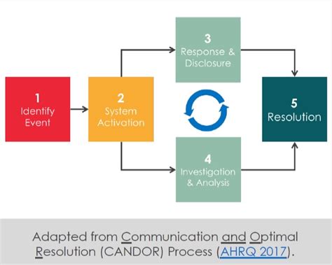 Error Disclosure Medicine Digital Learning