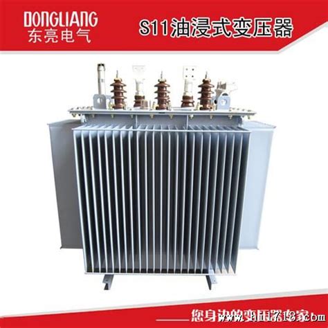 油浸式变压器s9 630图片高清图细节图 浙江东亮电气有限公司 维库仪器仪表网