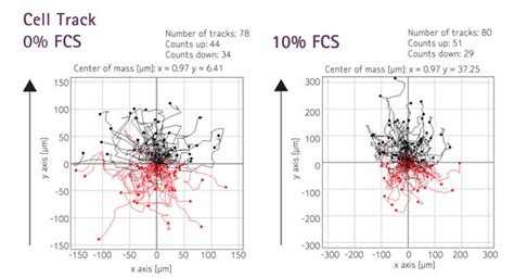 Millicell® µ Migration Assay Kit Mma205