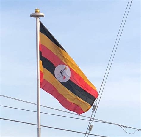 Ugandan Flag Smoke Tree Manor