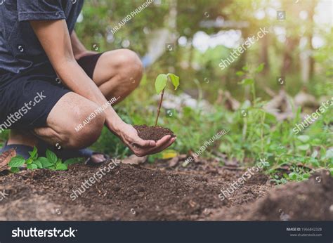 World Environment Day Planting Trees Love Stock Photo 1966842328 Shutterstock