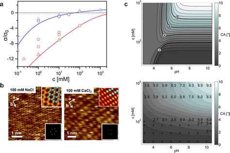 Ion Adsorption At Mica Water Interface A Surface Charge Calculated Download Scientific