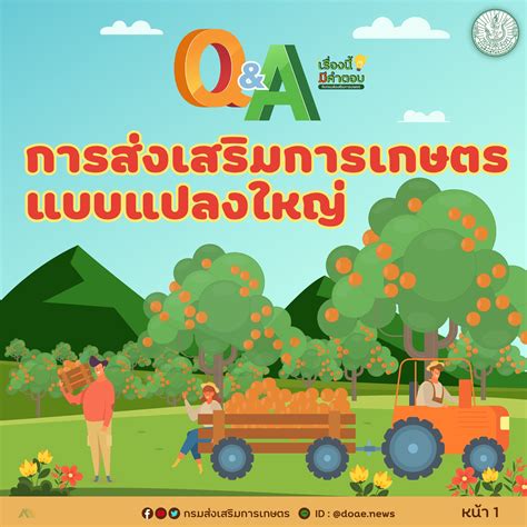 🌳 แปลงใหญ่ คืออะไร กรมส่งเสริมการเกษตร