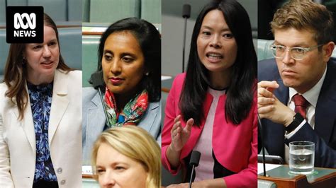 Federal Labor Mps Rebel Over Government Gas Strategy Blindsided By