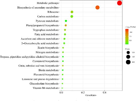 Figure 4 From Integrated Transcriptomic And Metabolomic Analysis