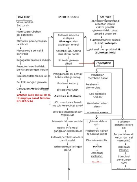Patofisiologi Diabetes Melitus Tipe 1 Dan 2 Pdf