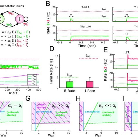 The Paradoxical Effect Constrains The Learning Rules That Can Lead To