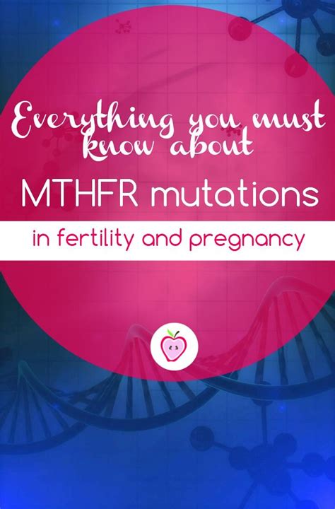 32 Best Images About Mthfr Gene Mutations On Pinterest What Is