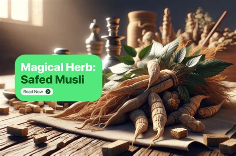 Safed Musli Benefits Uses Side Effects And More Ayurheals