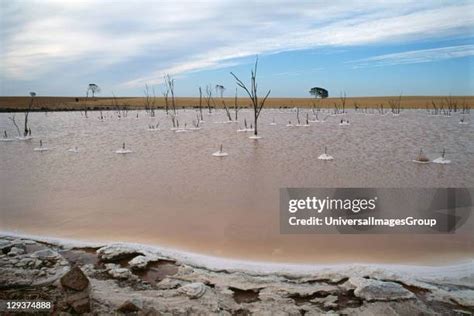 Salinization Photos And Premium High Res Pictures Getty Images