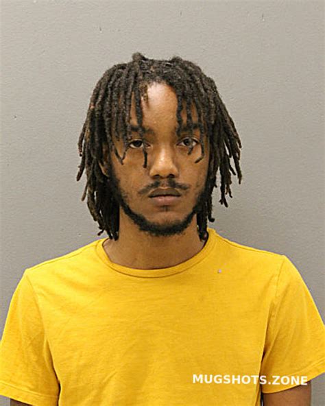 Noah Wayne Williams 10 01 2022 Chicago Mugshots Zone